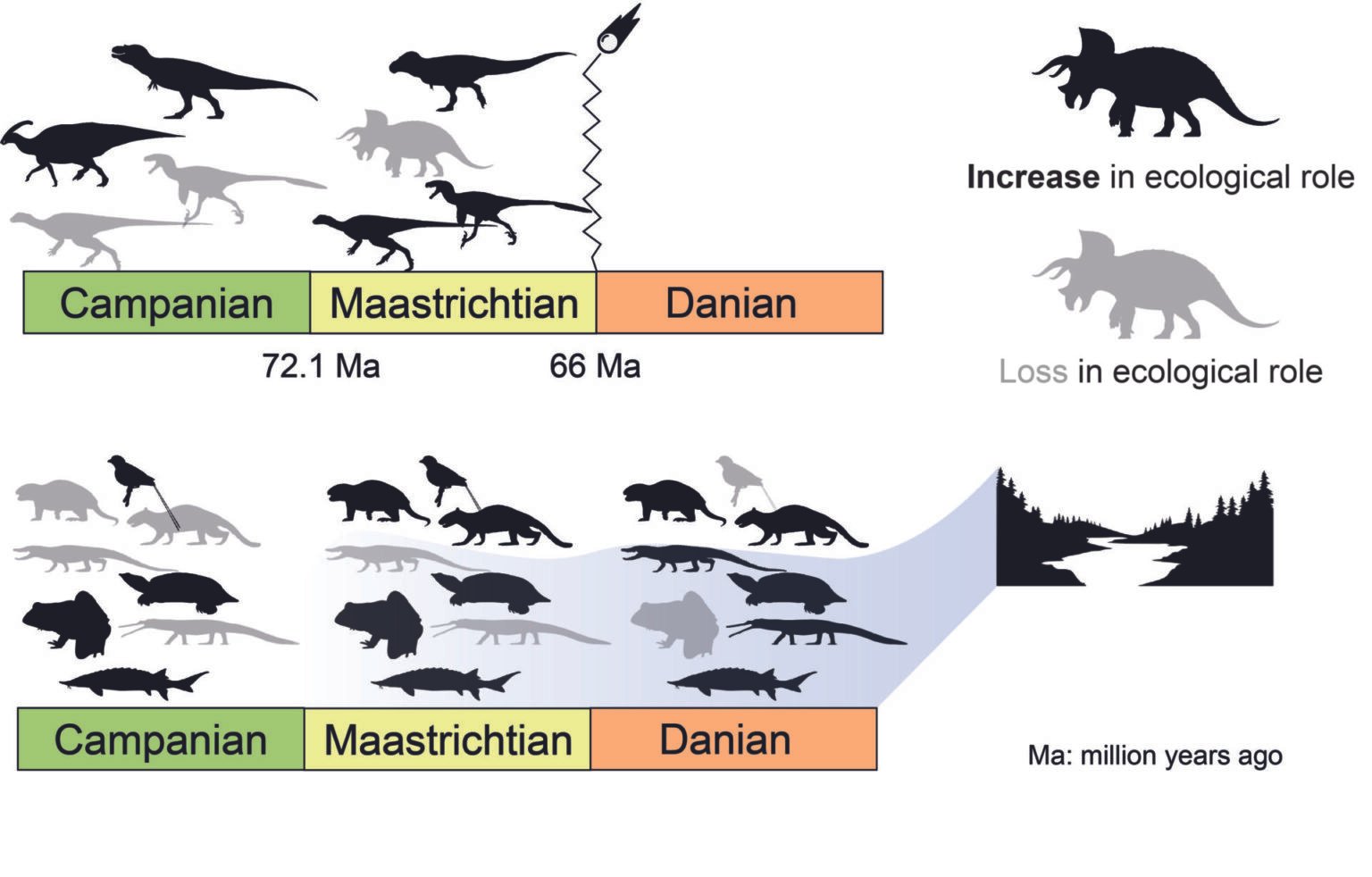 Perché i dinosauri non aviani si estinsero mentre uccelli e mammiferi ...