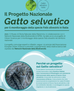 Progetto di Citizen Science per il monitoraggio del gatto selvatico in ...